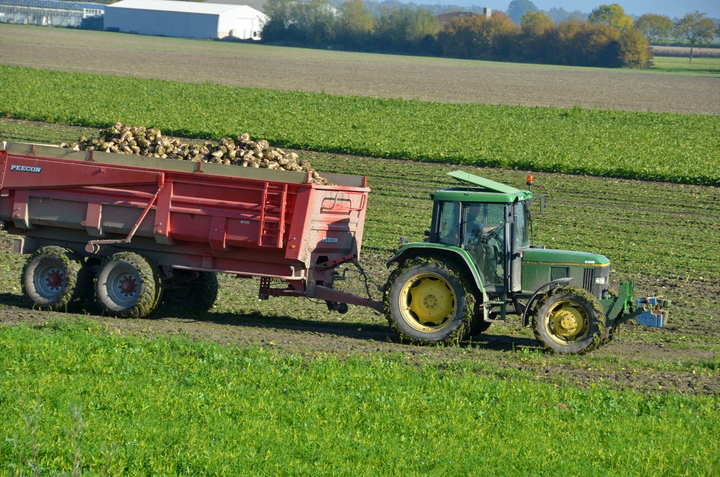 Foto's van Ben van Oosterhout - 27-10 II - Agrifoto.nl